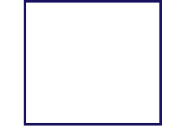 Different Label Shapes | Avery